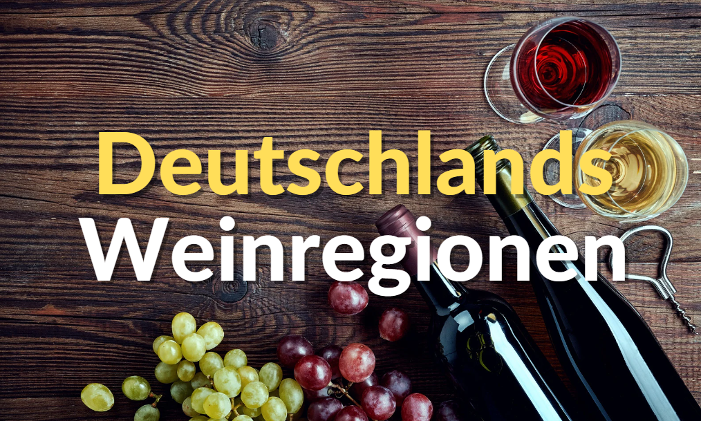 Die 13 Weinregionen Deutschlands: Ein Reiseführer durch Reben und Reben ...